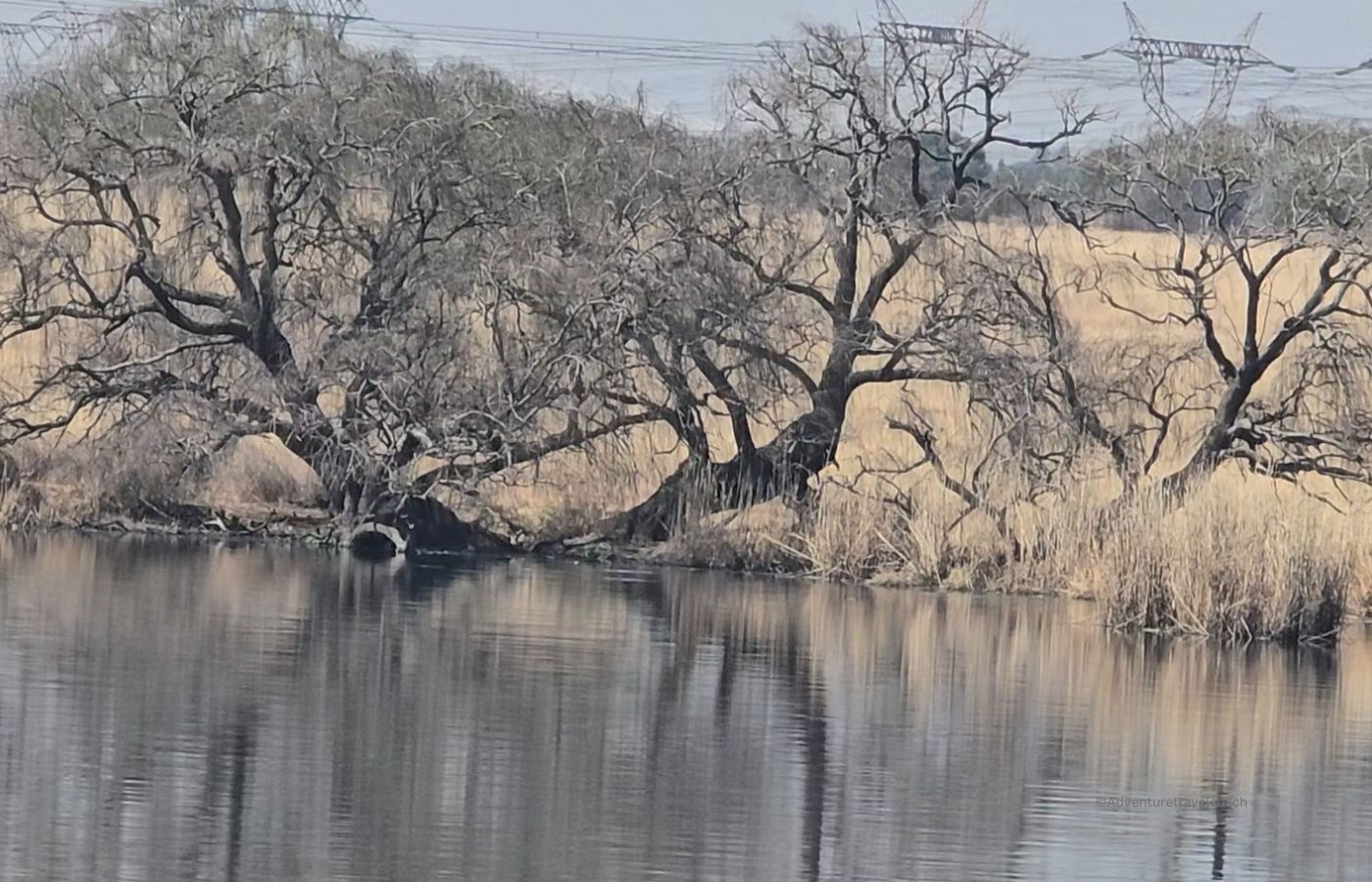 Rietvlei Nature Reserve: A Hidden Gem in Pretoria