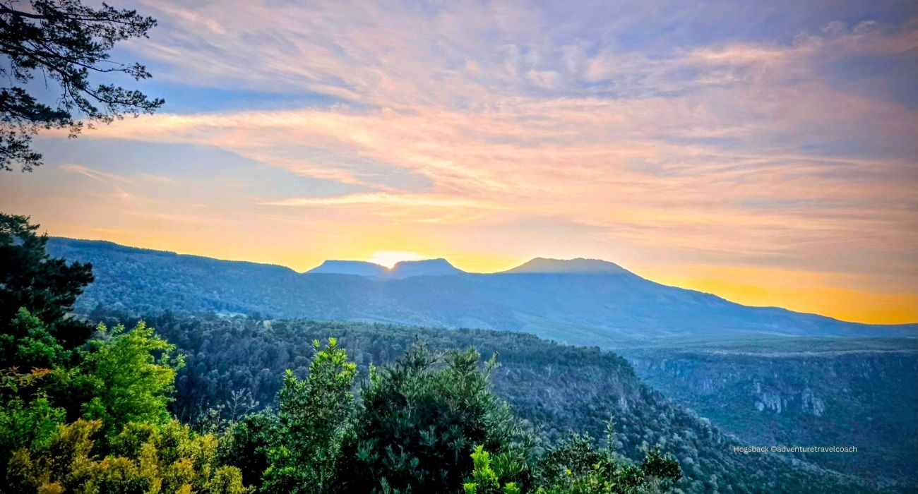 Hogsback: Your Guide to Eastern Cape's Hidden Gem